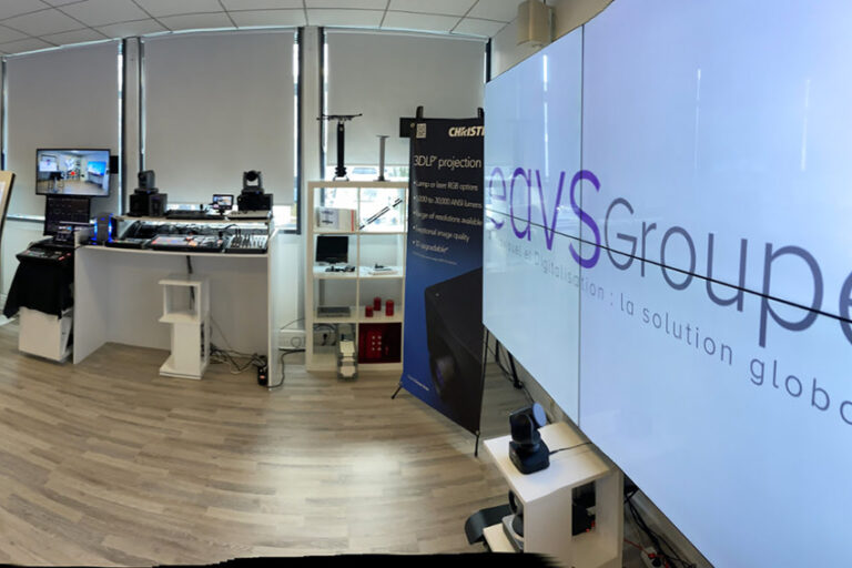 Revivez la journée Web TV EAVS Groupe : 7 heures de vidéo à votre disposition - blog eavs